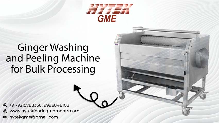 Ginger Washing and Peeling Machine for Bulk Processing